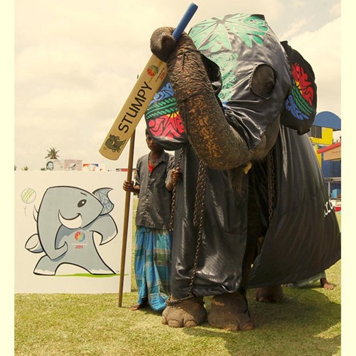 Stumpy, Elephant mascot of 2011 Cricket World Cup - making a statement ...